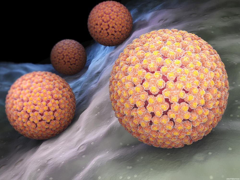 Here Are The Top 20 STIs and How to Avoid (and Treat) Them